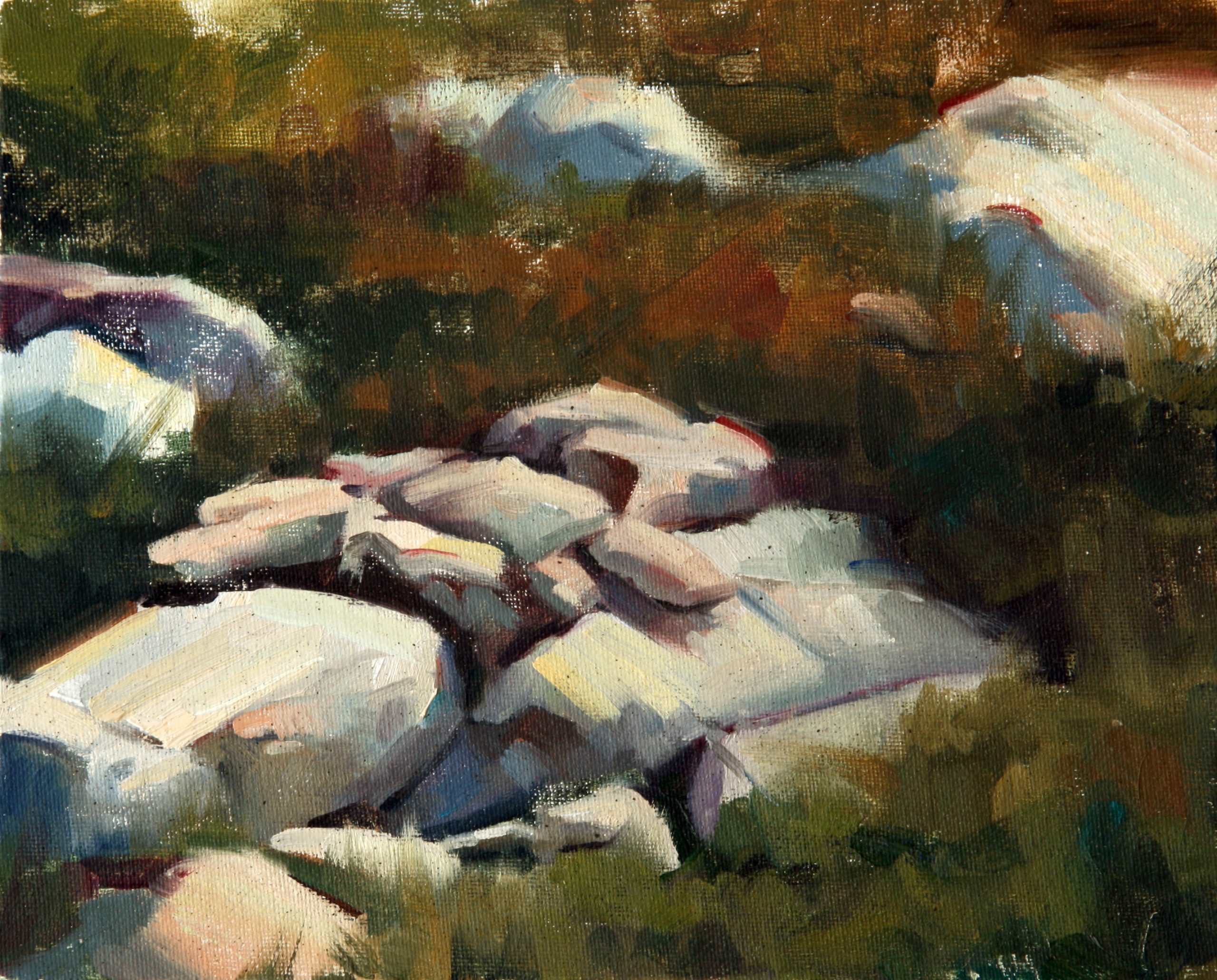 Rocks at Oak Oasis – Stan Prokopenko
